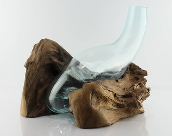 Teak Root Vase XL - Etsy