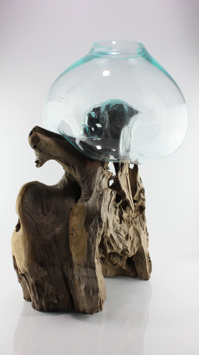 Teak Root Vase - XL - Etsy