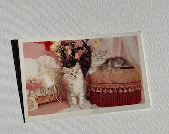 1989 Lesley Anne Ivory POSTCAT Vintage Unused CAT Postcard ruskin on Mrs. Jones Cathedral ...