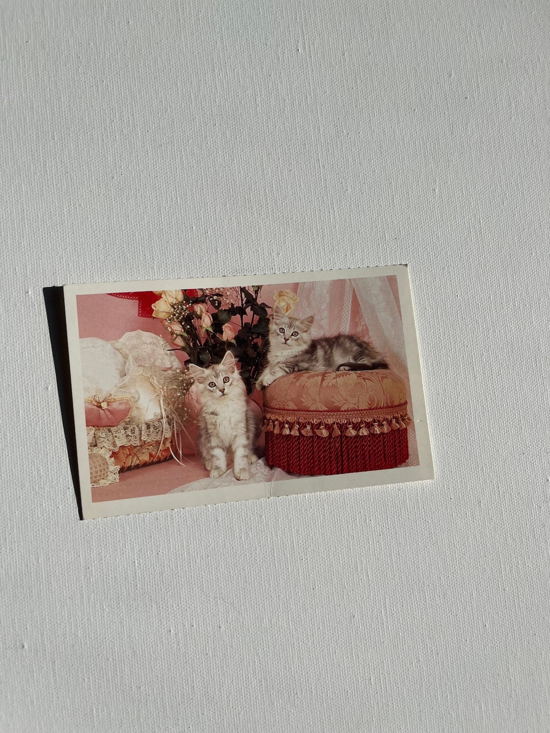 Vintage Cat Postcard - Etsy