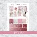 BLUSH Printable Planner Kit Printable Planner Stickers - Etsy
