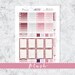 BLUSH Printable Planner Kit Printable Planner Stickers - Etsy
