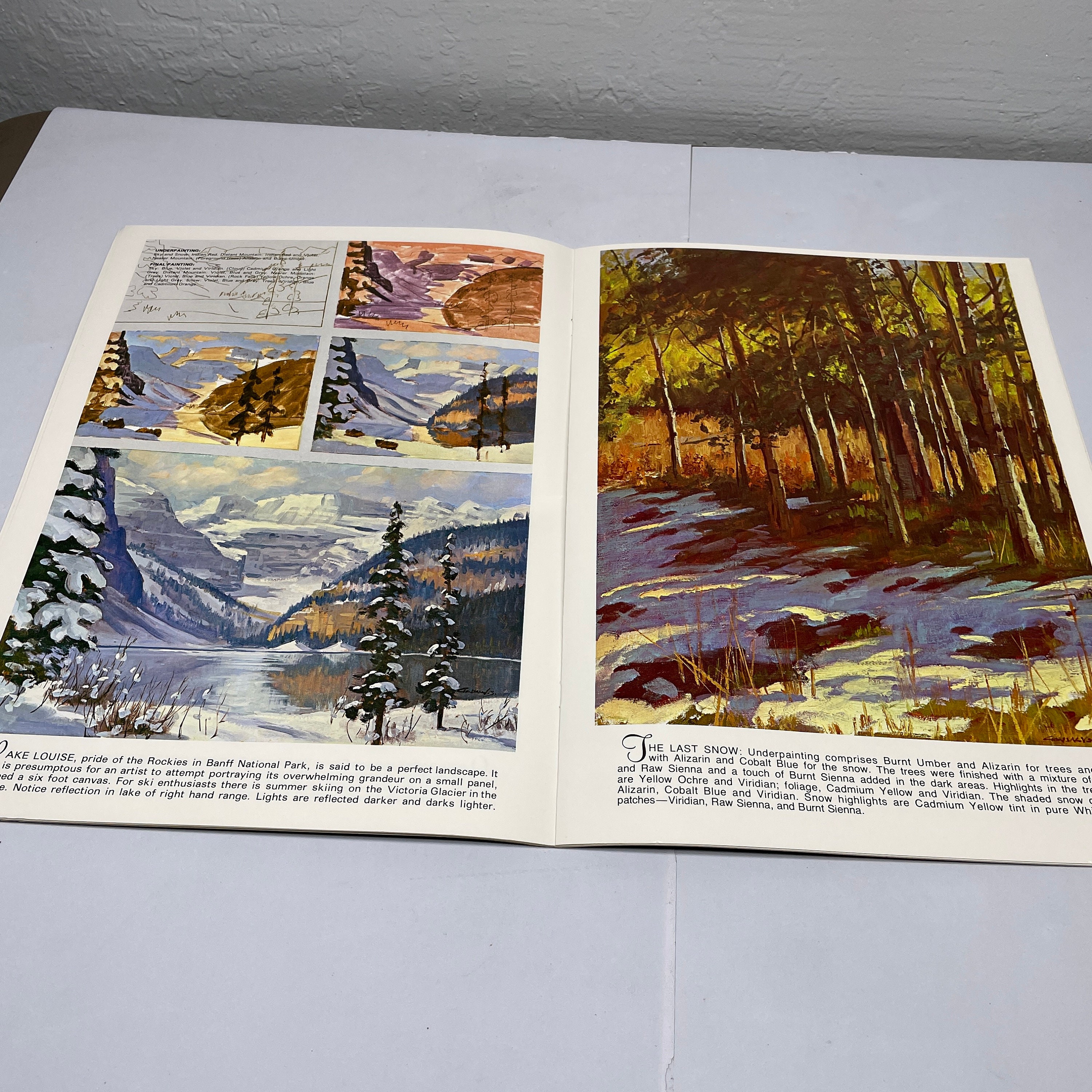 Vintage Walter Foster Art Instruction Book Snow Scenes Painting Mannie ...