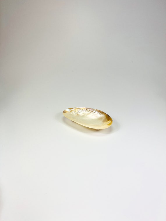 Vintage shell fish trinket dishes, fish shape carved … - Gem