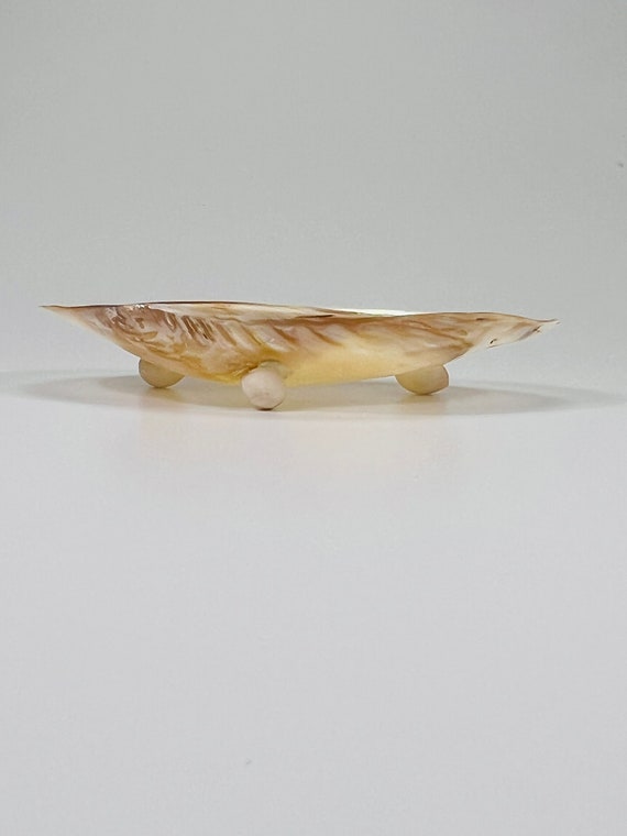 Shell Trinket Dish - Gem