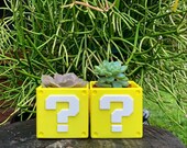 Super Mario Warp Pipe Planter