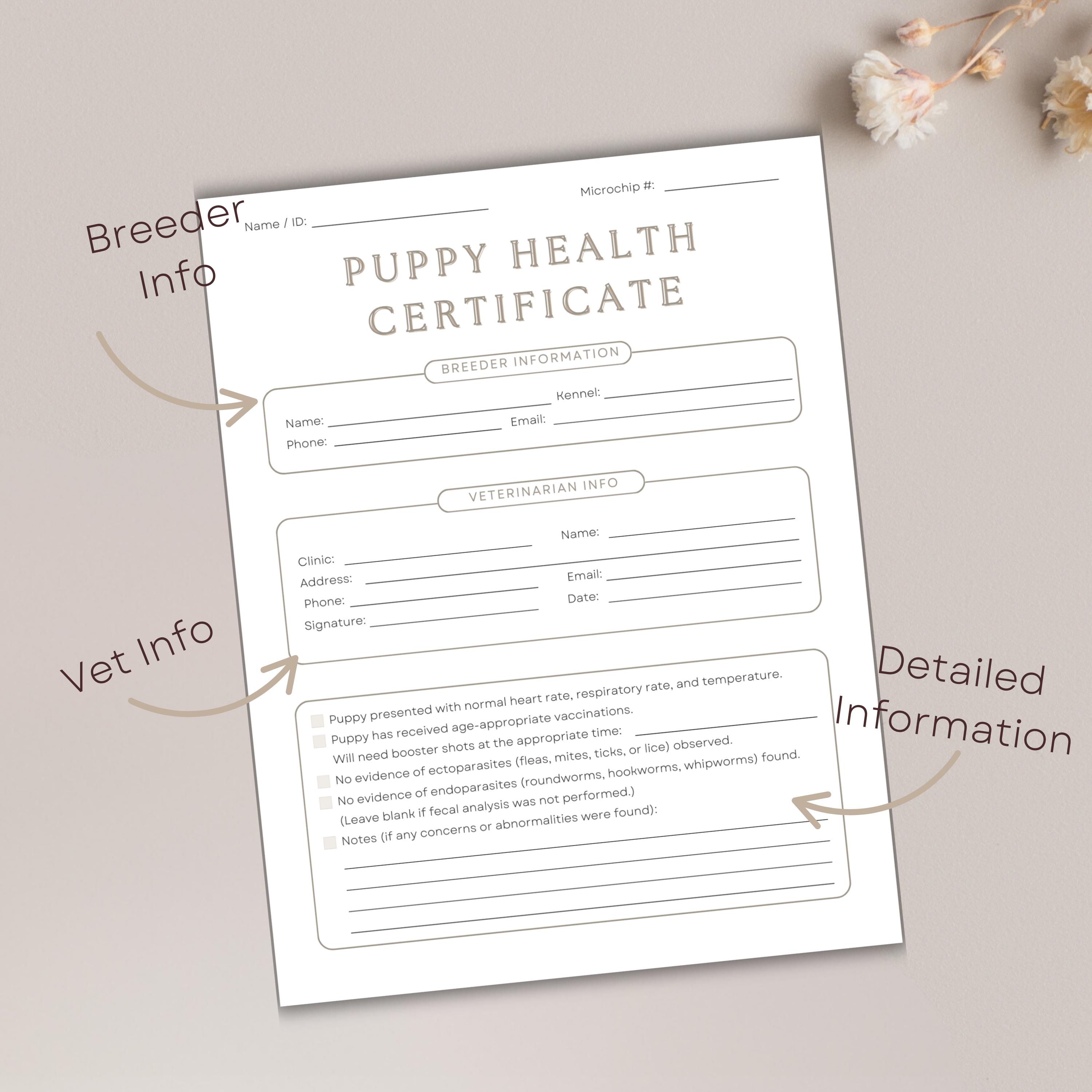 Editable Puppy Health Certificate, Dog Breeder Vet Info, Canva Template ...