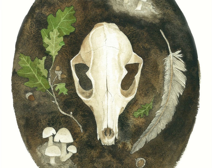 Grey Fox Skull Watercolor Painting Nature Art Print - Etsy