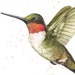 Hummingbird Watercolor Painting Lifelike Bird Art Nature Print Woodland ...