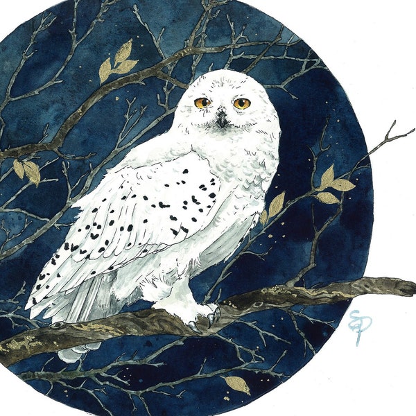 Snowy Owl Print - Etsy