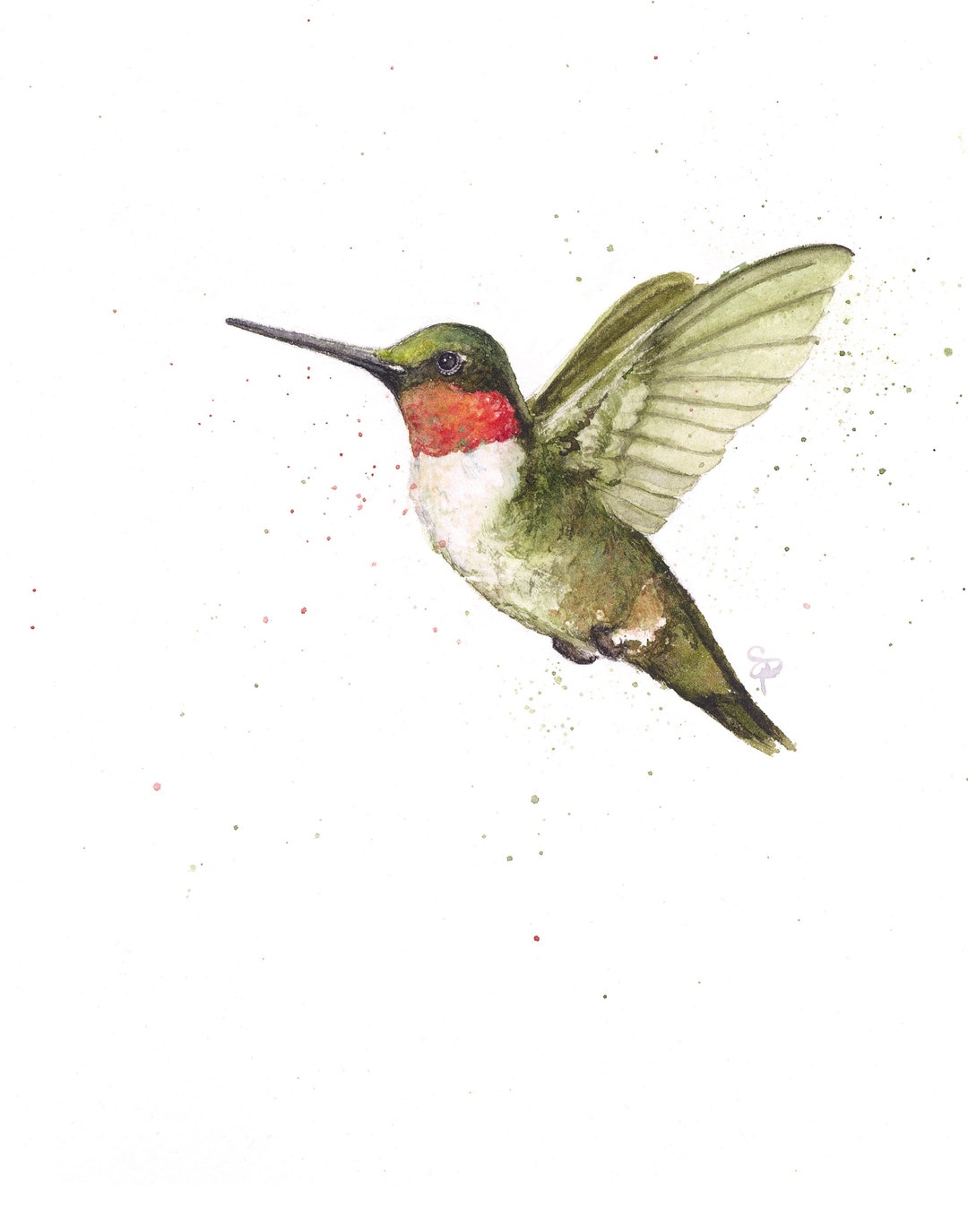 Hummingbird Watercolor Painting Lifelike Bird Art Nature Print Woodland ...