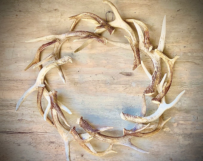 22 REAL Antler Wreath FREE SHIPPING - Etsy