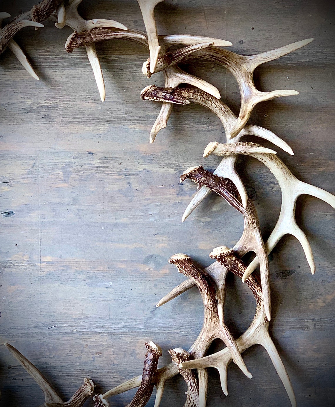 44 Large REAL Antler Wreath - Etsy