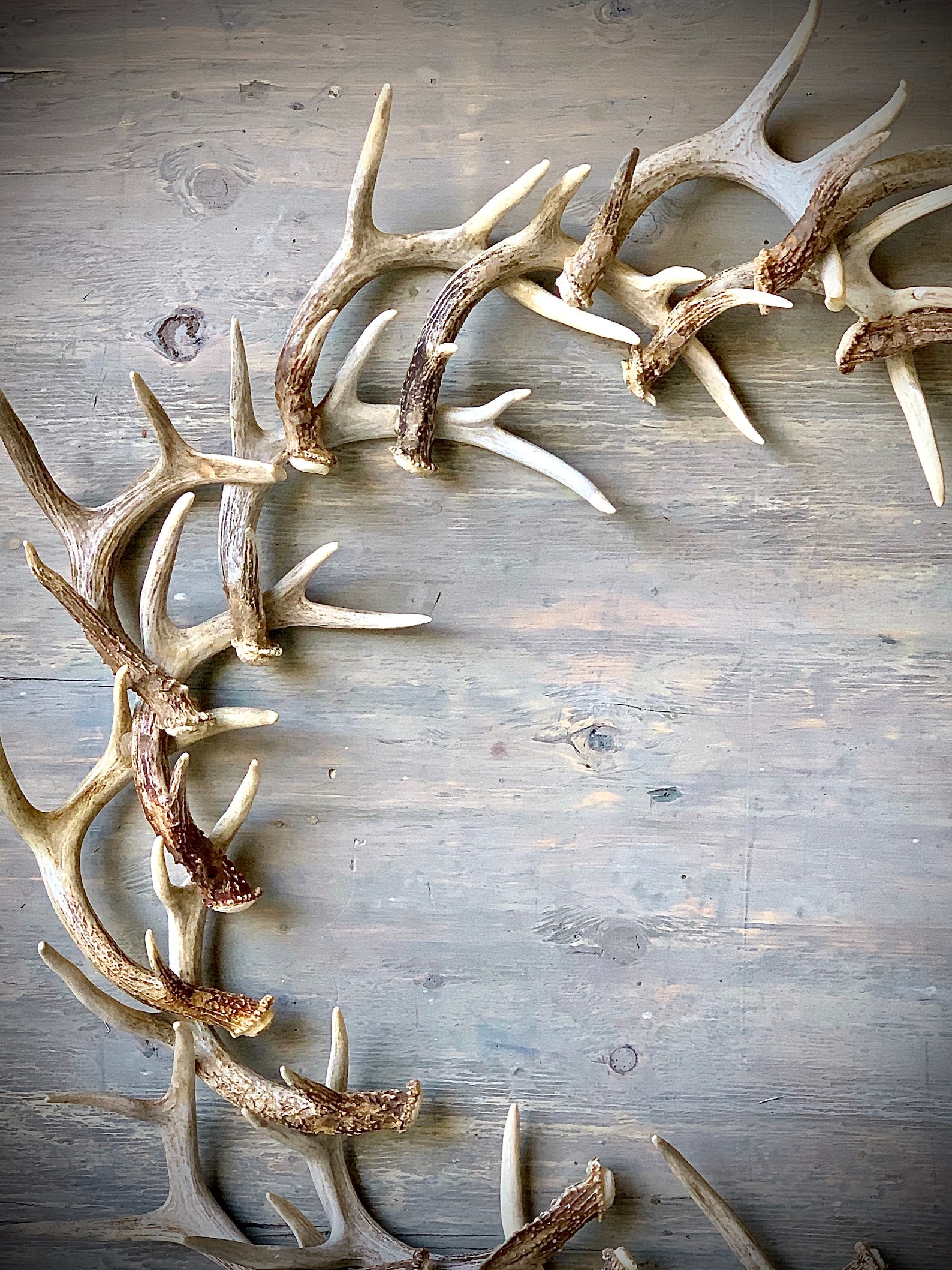 44 Large REAL Antler Wreath - Etsy