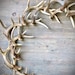 44 Large REAL Antler Wreath - Etsy