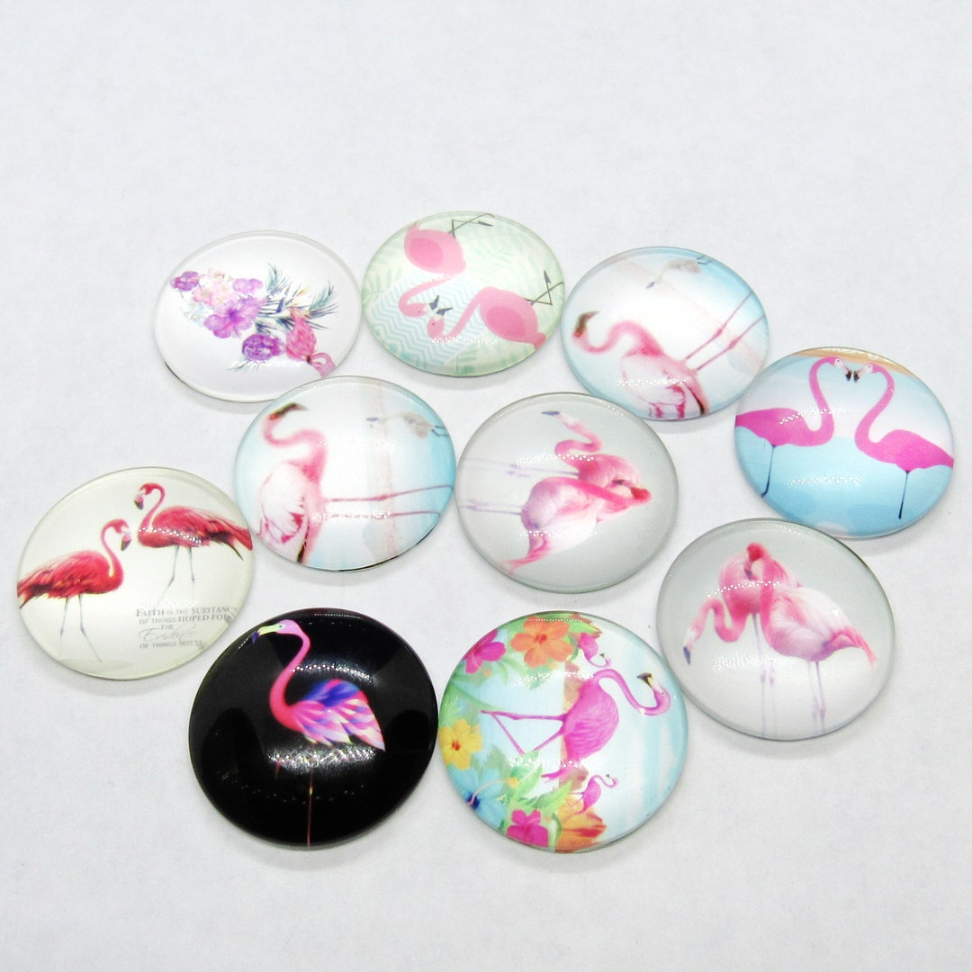 10 Assorted Flamingo Half Round Dome Flat Back Glass Cabochons 25mm ...