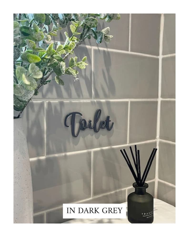 TOILET 3D Acrylic Sign - Toilet Cut Out Word - Various Colours - Sign ...