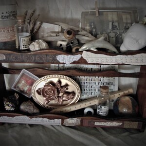 Curiosity Oddity Cabinet With Contents~as Found~french Vintage Markets ...