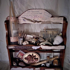 Curiosity Oddity Cabinet With Contents~as Found~french Vintage Markets ...