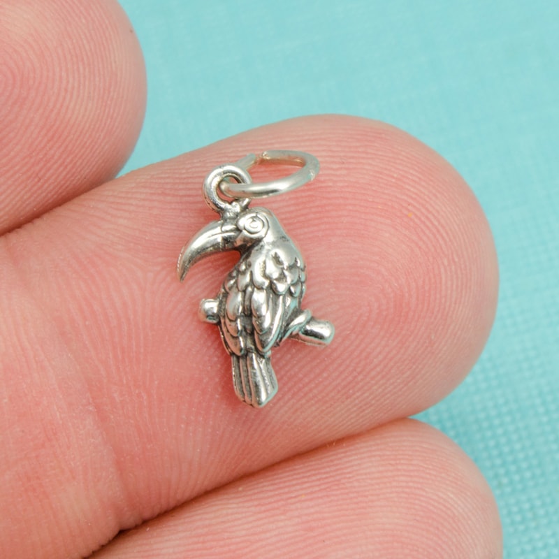 Toucan Sterling Silver - Etsy