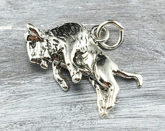 3D Sterling Silver Whip Charm, Western, Horse, .925 Silver, DIY ...