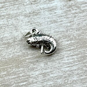 Sterling Silver 3D Bass Fish Bracelet Charm, Fishing, Water, Nature ...