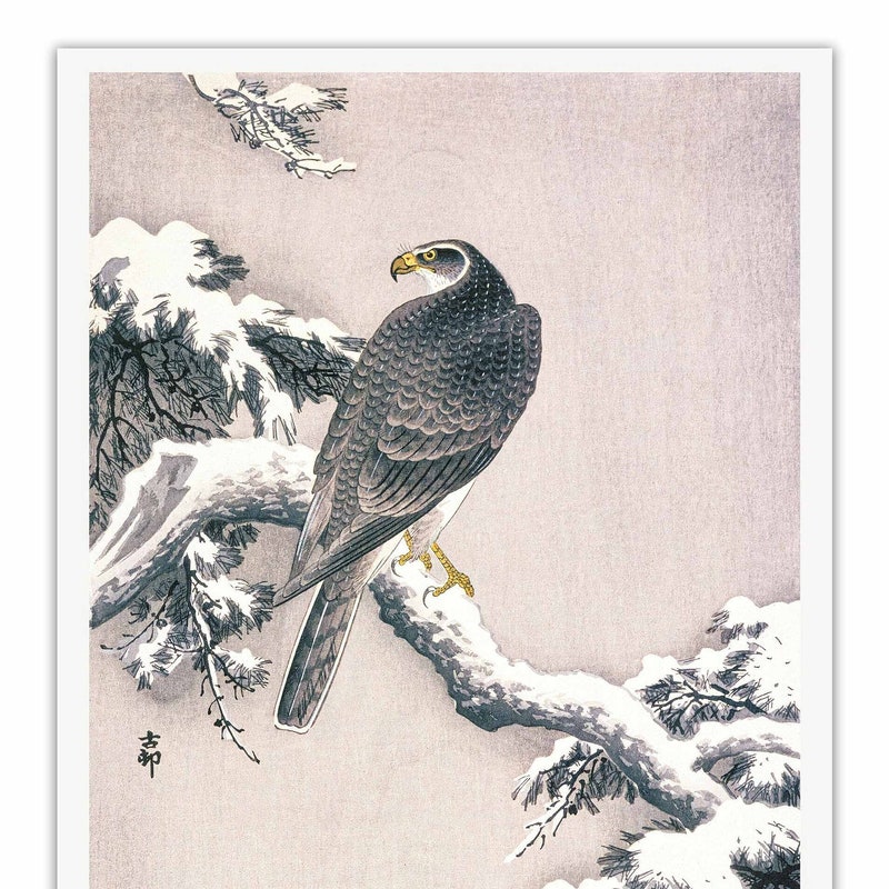 Japanese Print Hawk - Etsy
