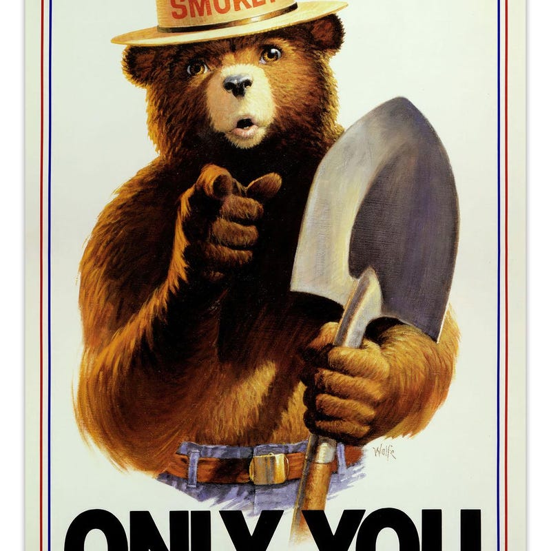 Smokey Bear Poster - Etsy