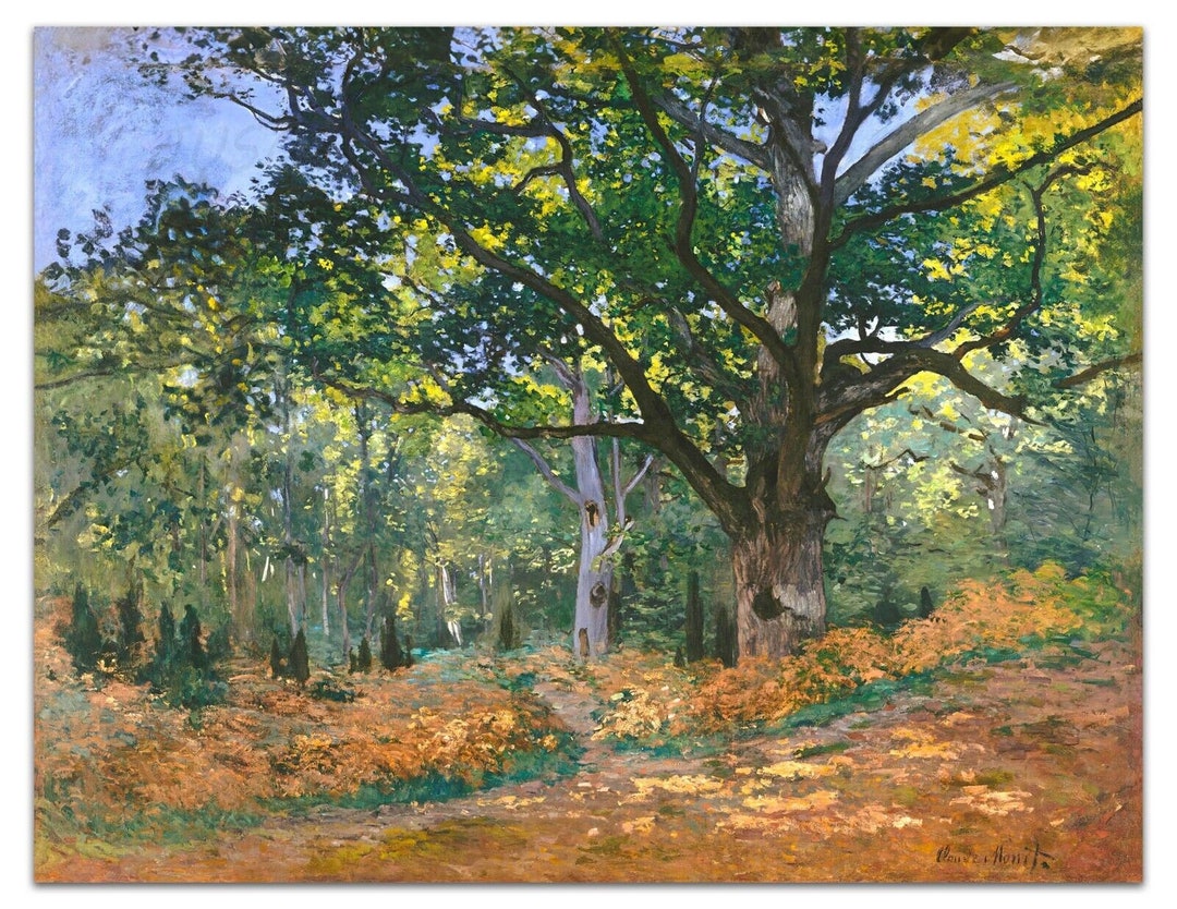 The Bodmer Oak, Fontainebleau Forest (1865) CLAUDE MONET Vintage ...