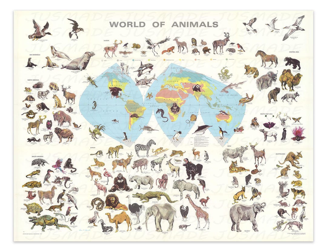 WORLD OF ANIMALS Species Map Chart 1970 Vintage Illustration -unframed ...