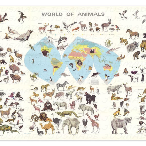 Classification Chart - Etsy