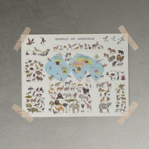 WORLD OF ANIMALS Species Map Chart 1970 Vintage Illustration -unframed ...