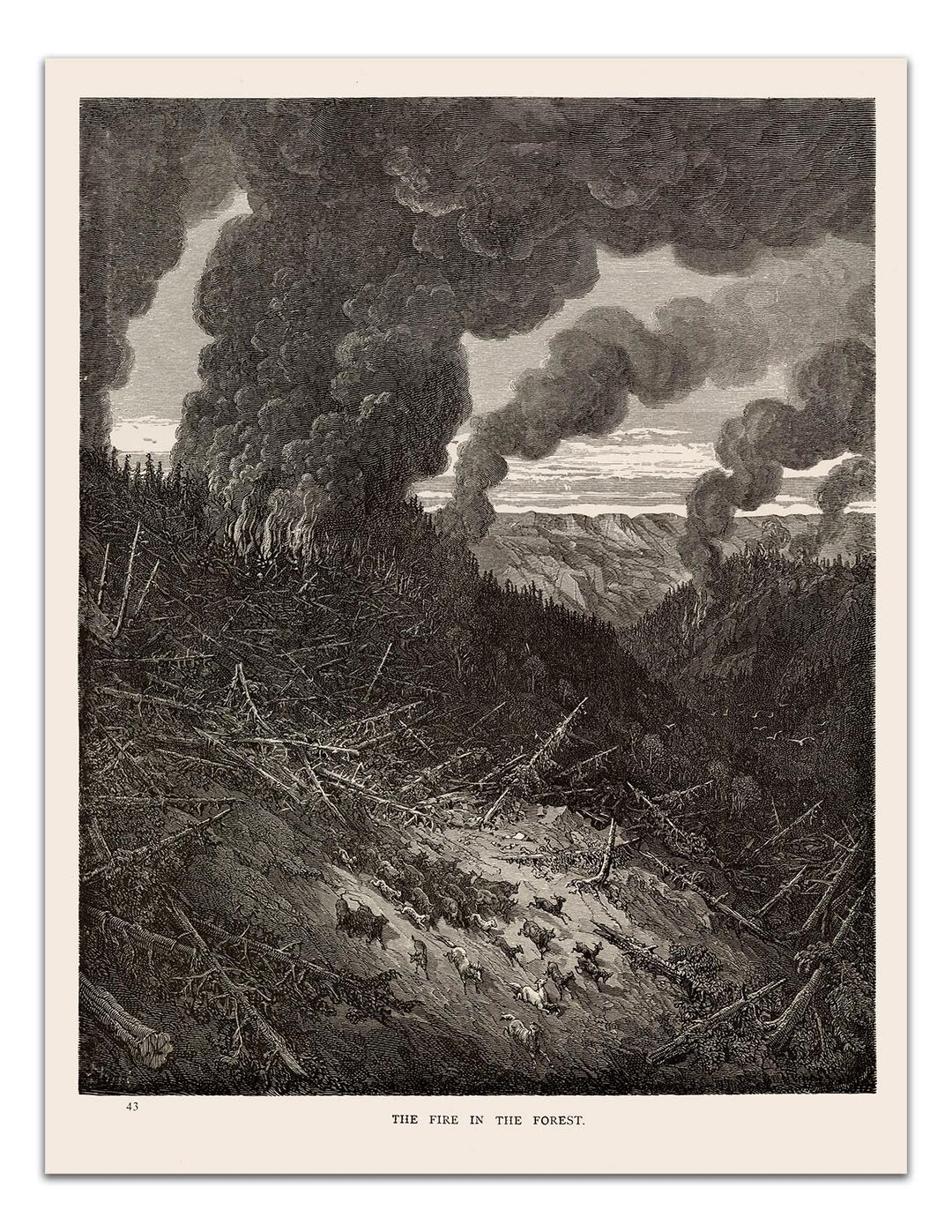 Gustave Dore: the Fire in the Forest (1891) Vintage Illustration Bible ...