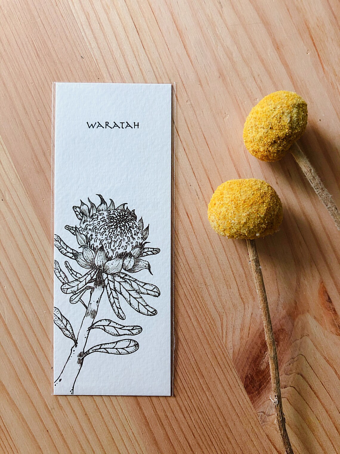 Australian Botanical Bookmarks/ Wildflower/ Native Plants/ Banksia ...