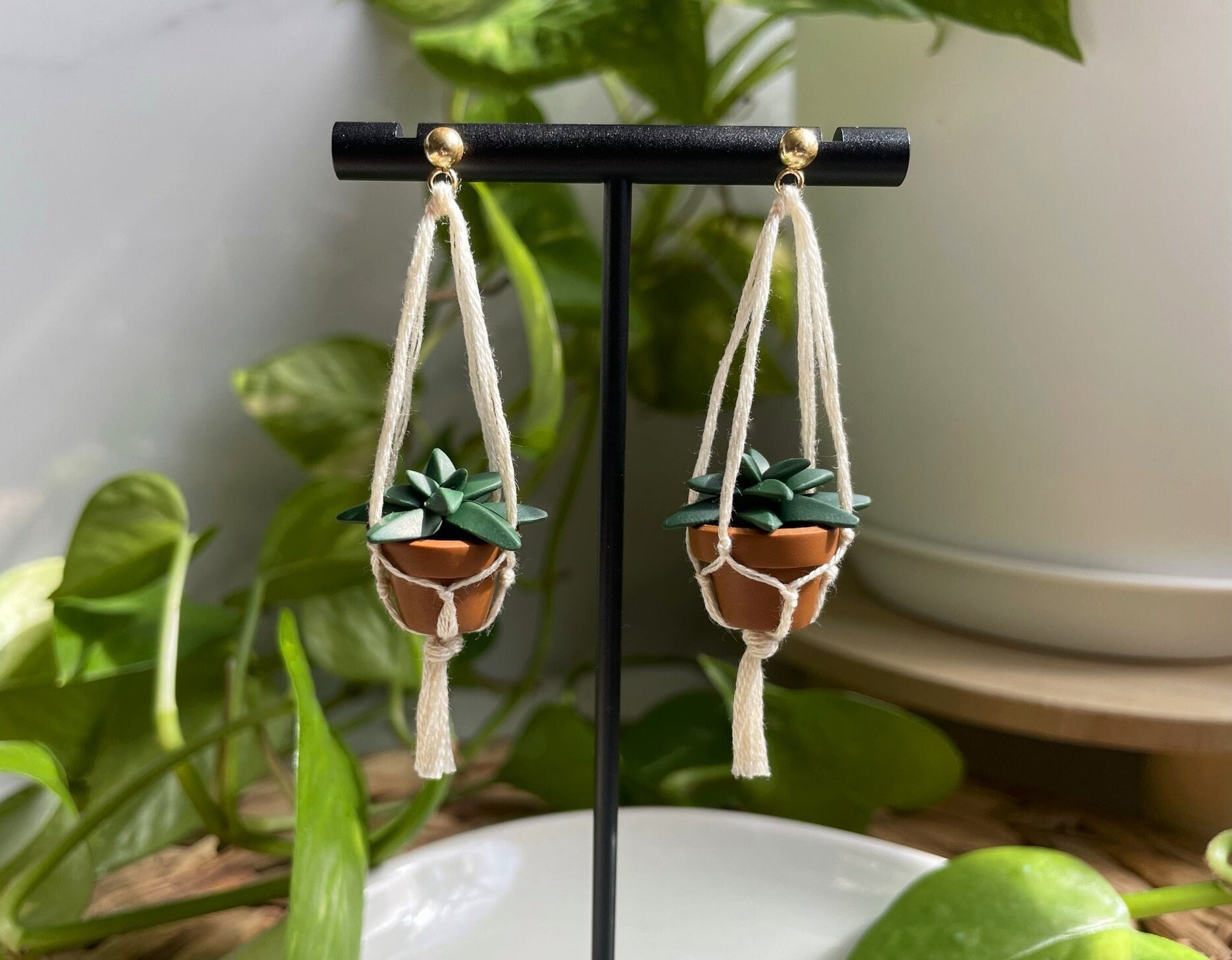 Potted plant earrings store