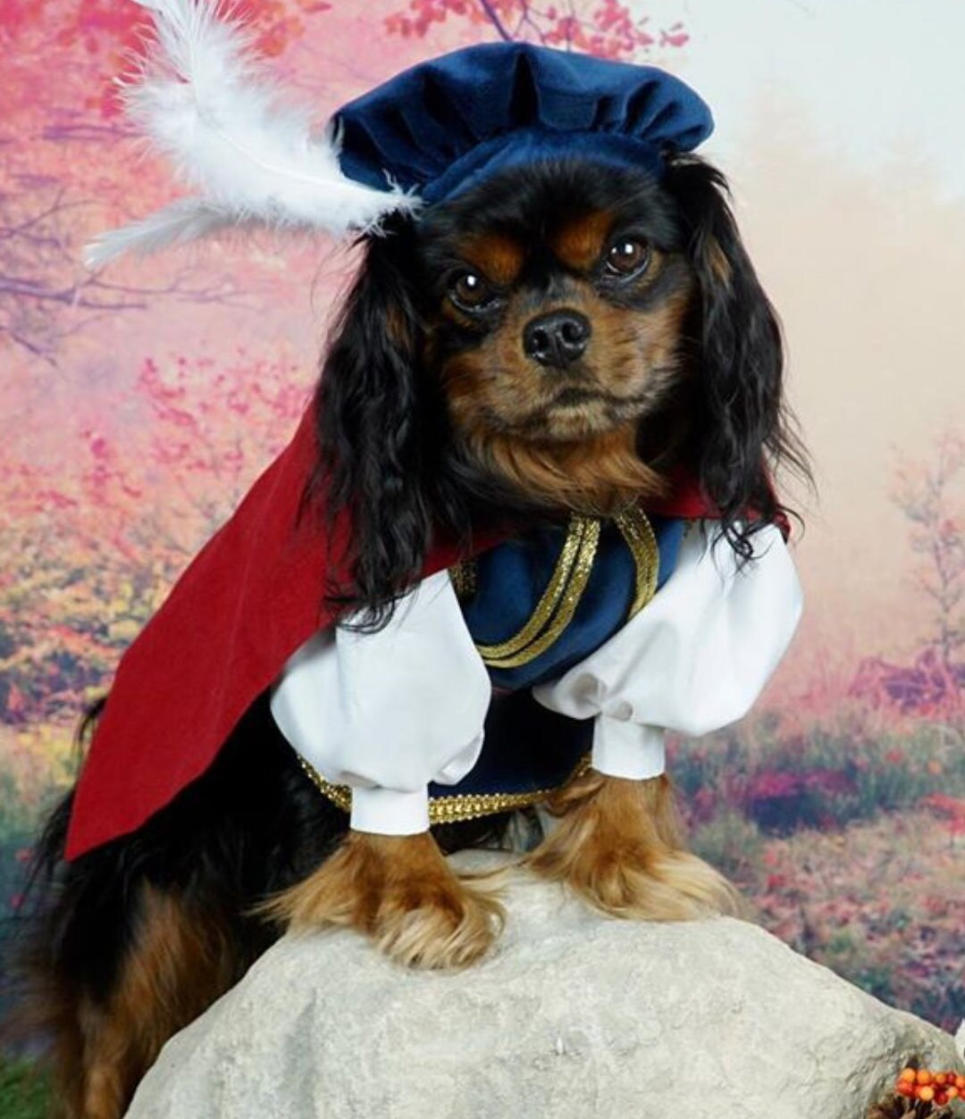 Prince Ferdinand Dog Costume, Snow White Prince Charming Costume, Dog ...