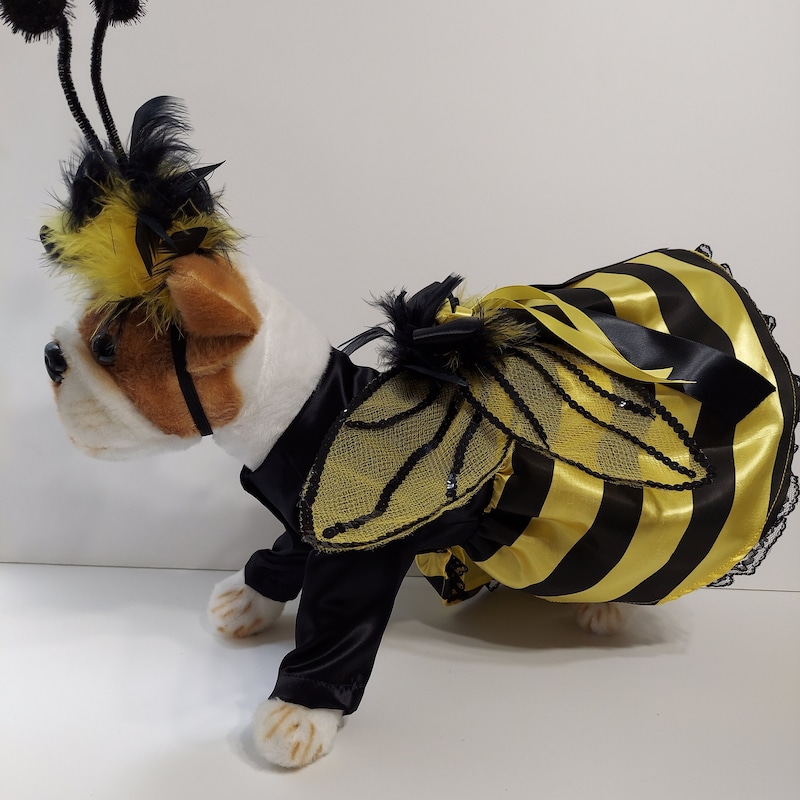 Dog Halloween Bee Costume - Etsy