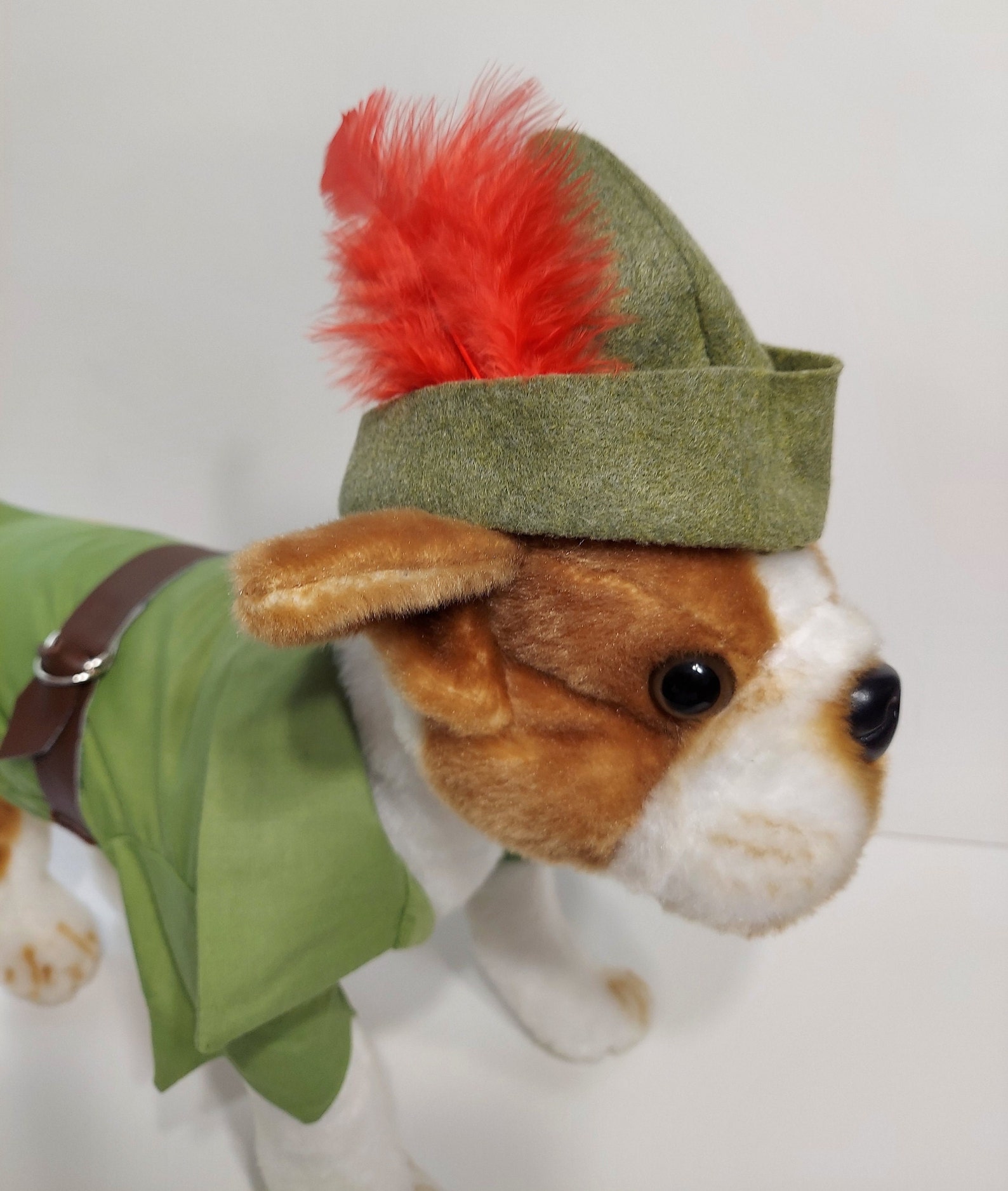 Peter Pan Dog Halloween Costume, Pet Peter Pan Costume, Peter Pan Dog ...