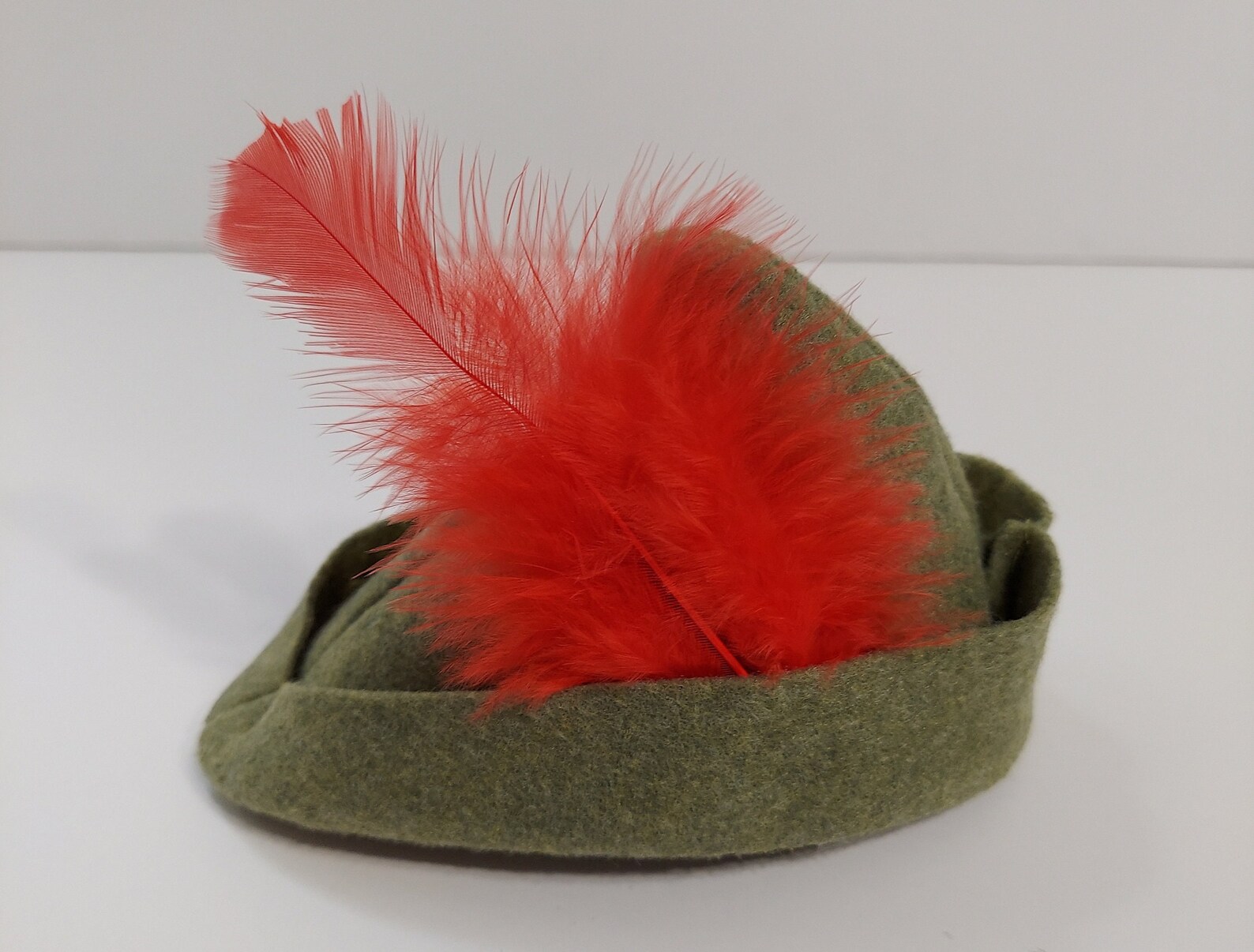 Peter Pan Dog Halloween Costume, Pet Peter Pan Costume, Peter Pan Dog ...