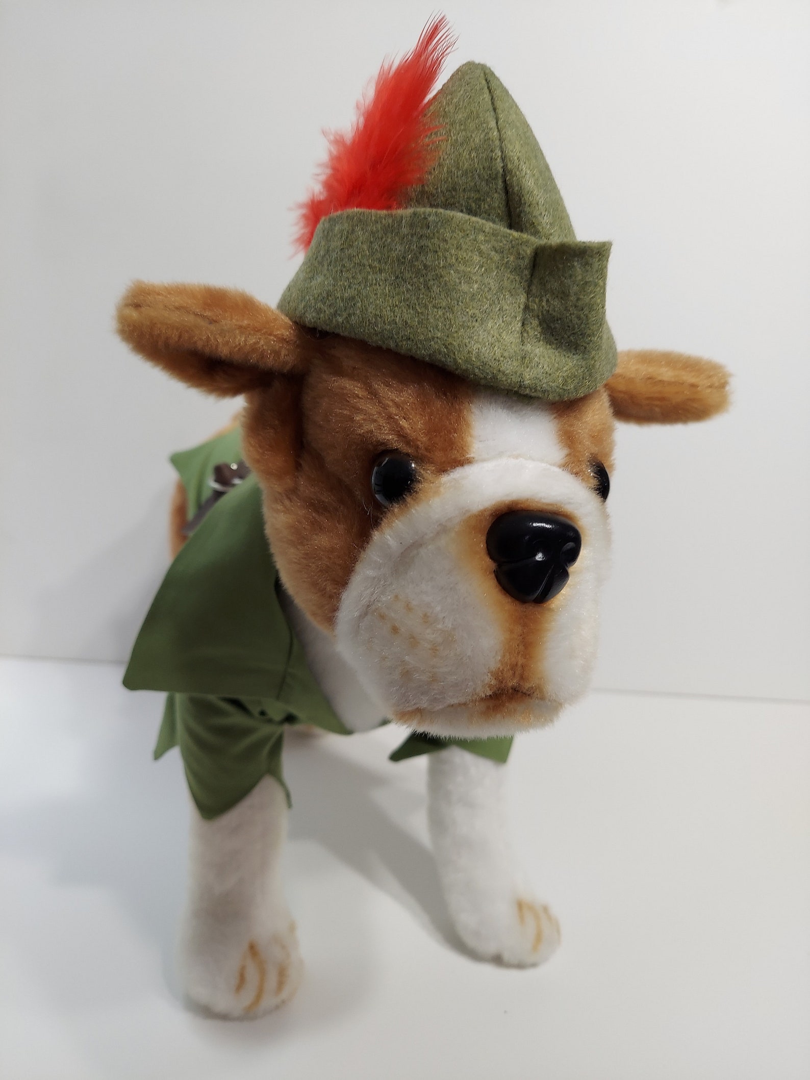Peter Pan Dog Halloween Costume, Pet Peter Pan Costume, Peter Pan Dog ...