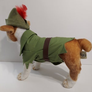 Peter Pan Dog Halloween Costume, Pet Peter Pan Costume, Peter Pan Dog ...