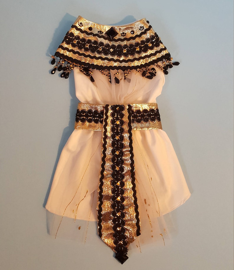 Dog Cleopatra Halloween Costume, Cleopatra Dog Costume, Puppy Cleopatra ...
