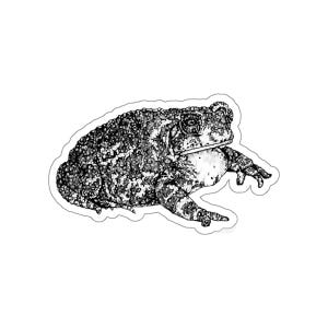 Sticker- the Toad- Whimsical Laptop Decor, Nature Lover Gifts, Toad Art ...