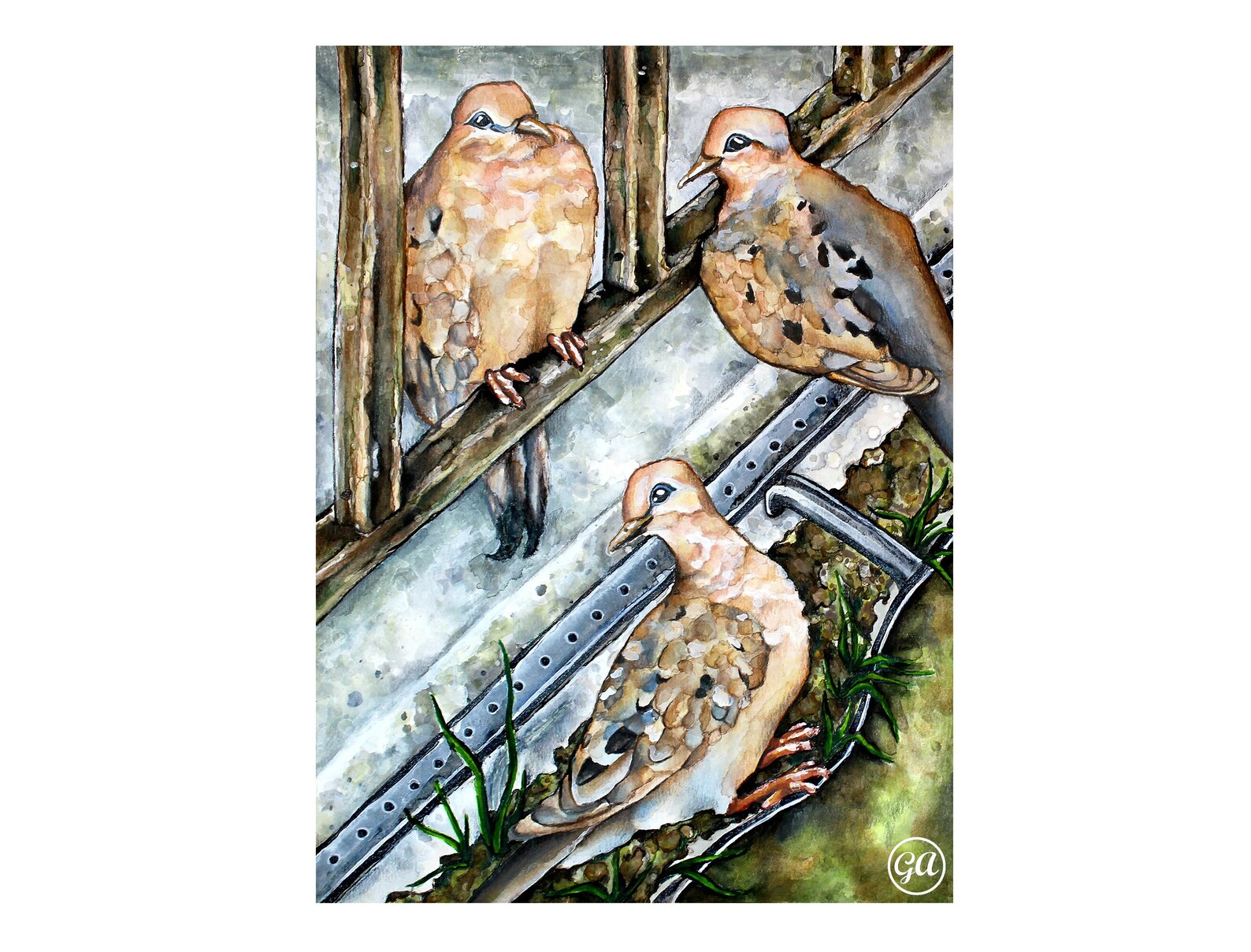 The Mourning Doves Giclée Print, Original Art, Watercolor, Acrylic ...