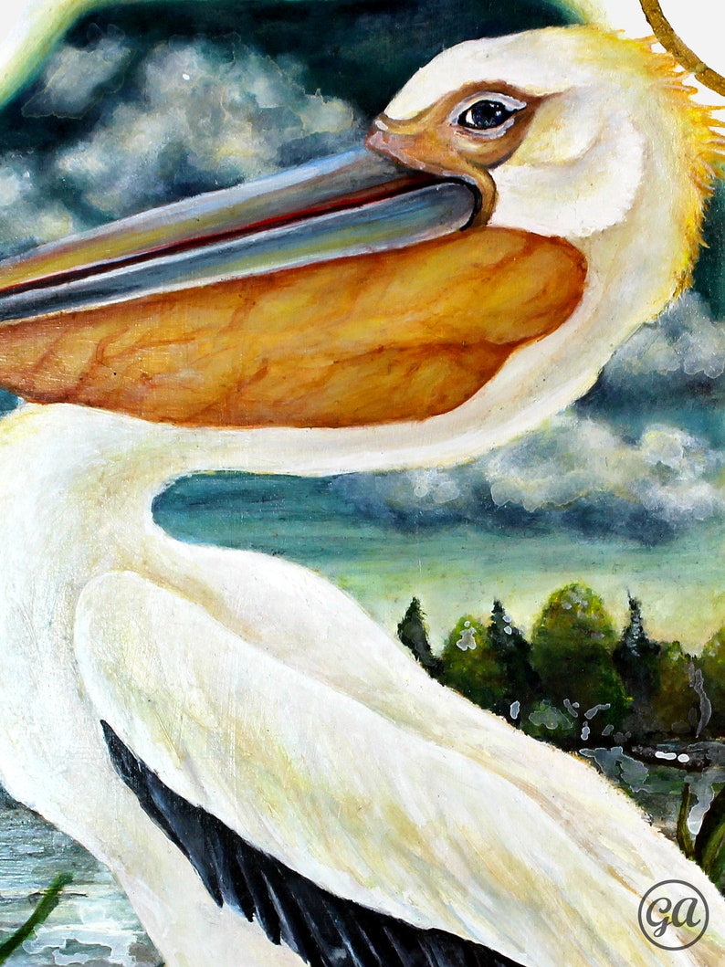 The White Pelican Giclée Print, Original Art, Oil Painting, Ink, Pencil, Animal, Bird Art ...