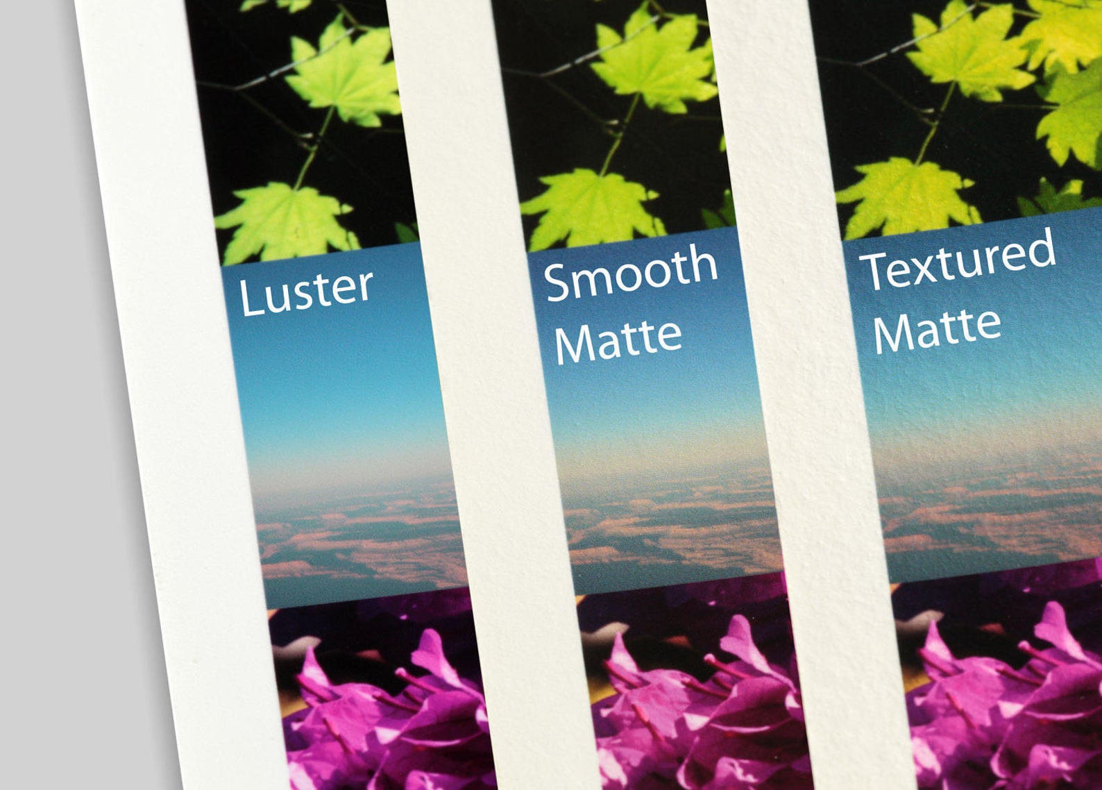 Time Lapse of the 2017 Solar Eclipse Sawtooth National Forest, Idaho ...