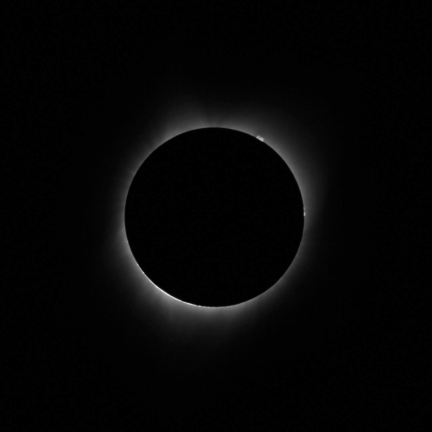 Total Solar Eclipse of 2017 (photo Print, Wall Art, Astrophotography ...