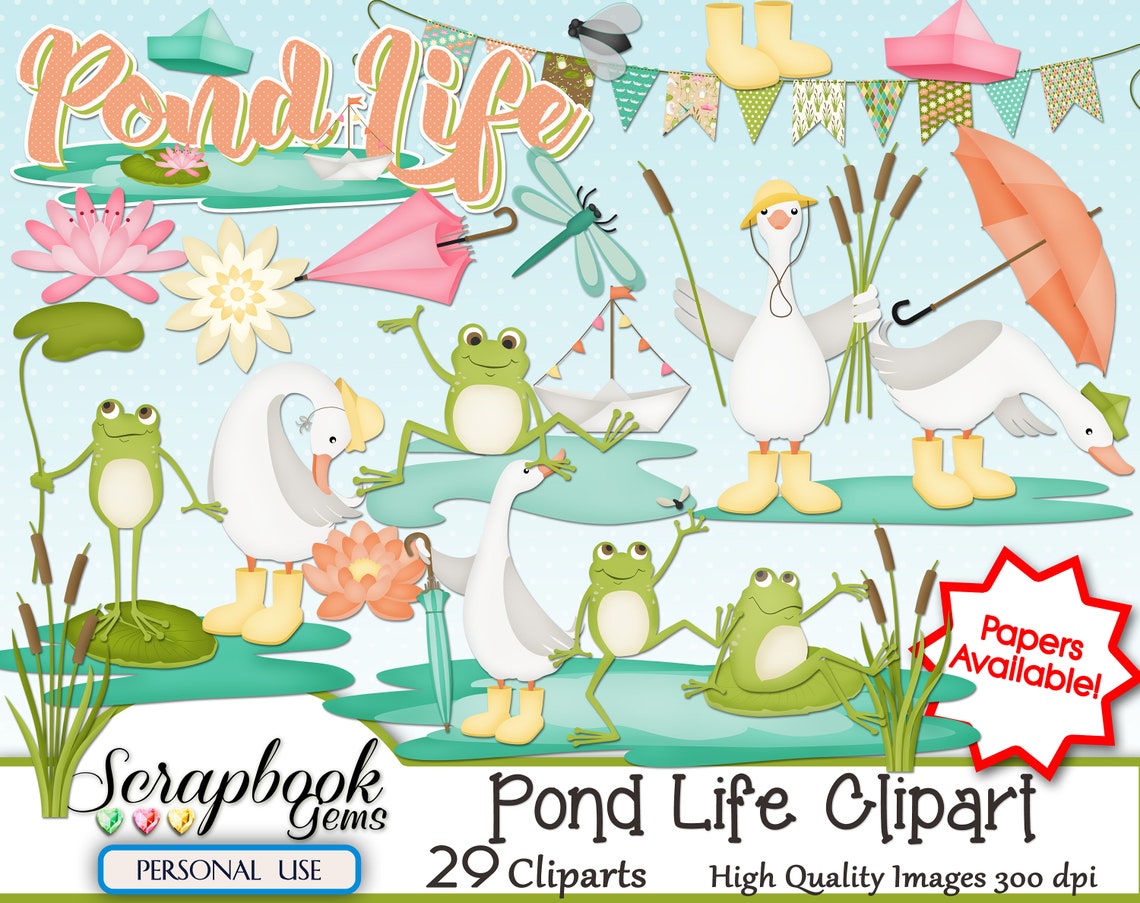 POND LIFE Clipart & Papers Kit 29 png Clipart files 24 jpeg | Etsy