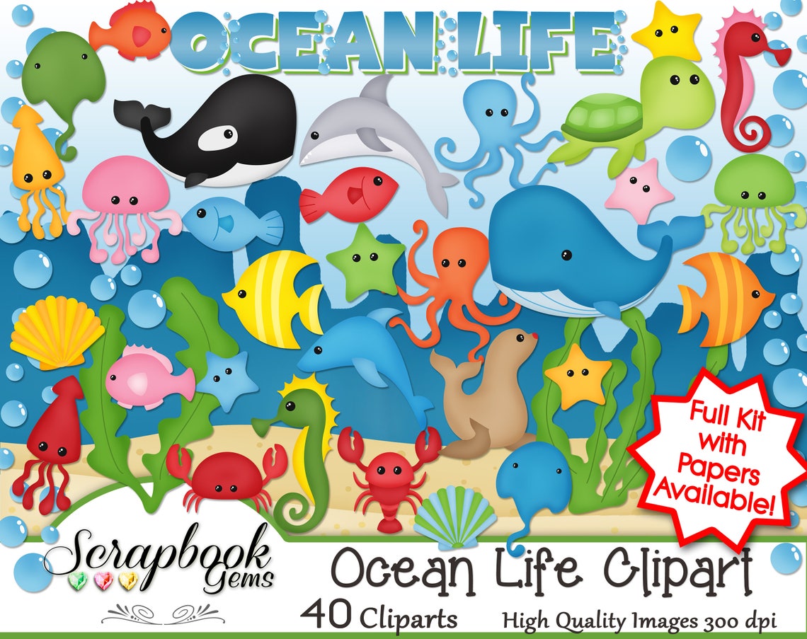 OCEAN LIFE Clipart 40 Png Clipart Files Instant Download | Etsy
