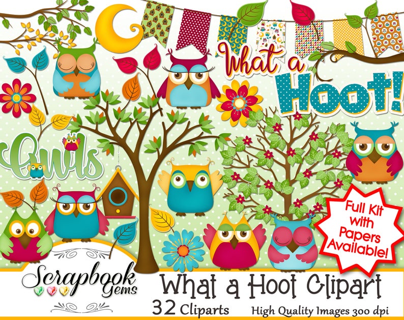 WHAT A HOOT OWLS Clipart 32 Png Clipart Files Instant - Etsy